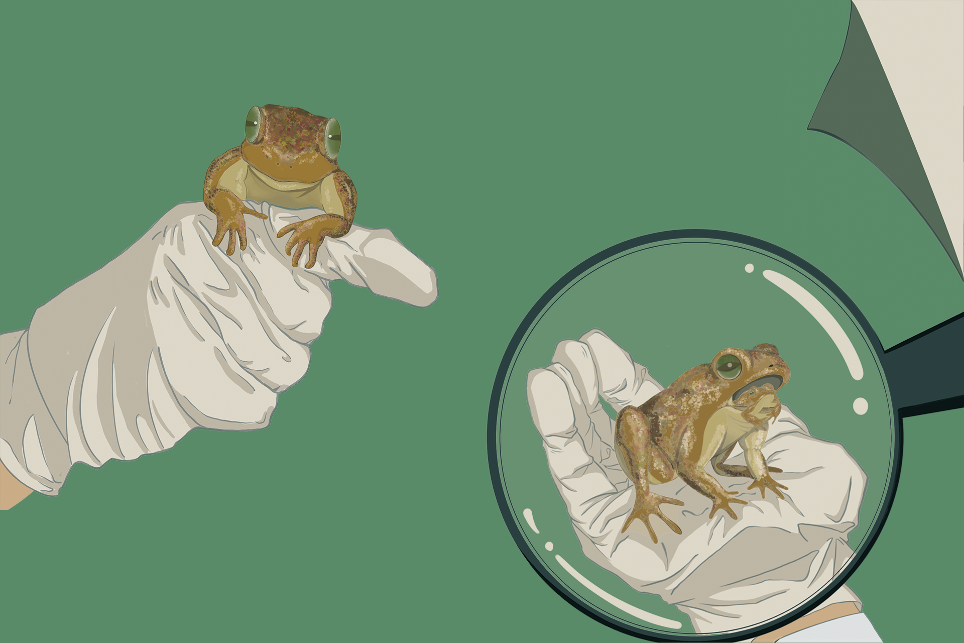 Issue 026 | Science Focus